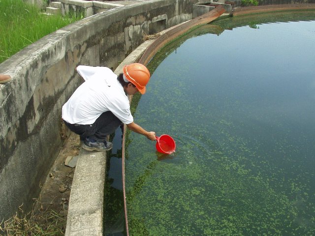 Asia Pacific Environmental Consultants (ASPEC)